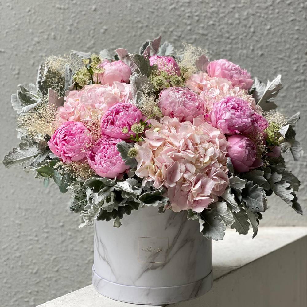 Peony Magic in a Box